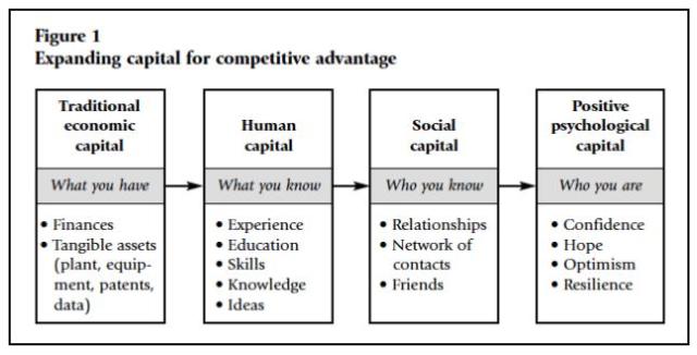 Are you a H.E.R.O.? Positive Psychological Capital (PsyCap) explained ...