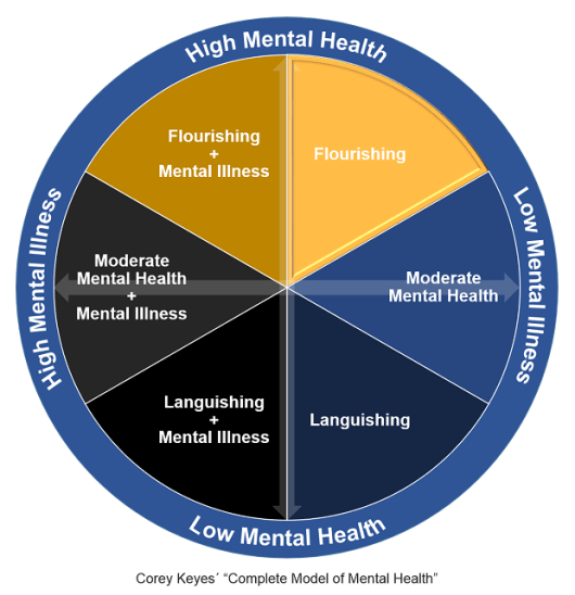 Surprising Finding | Mental Illness vs. Mental Health: Continuum or ...